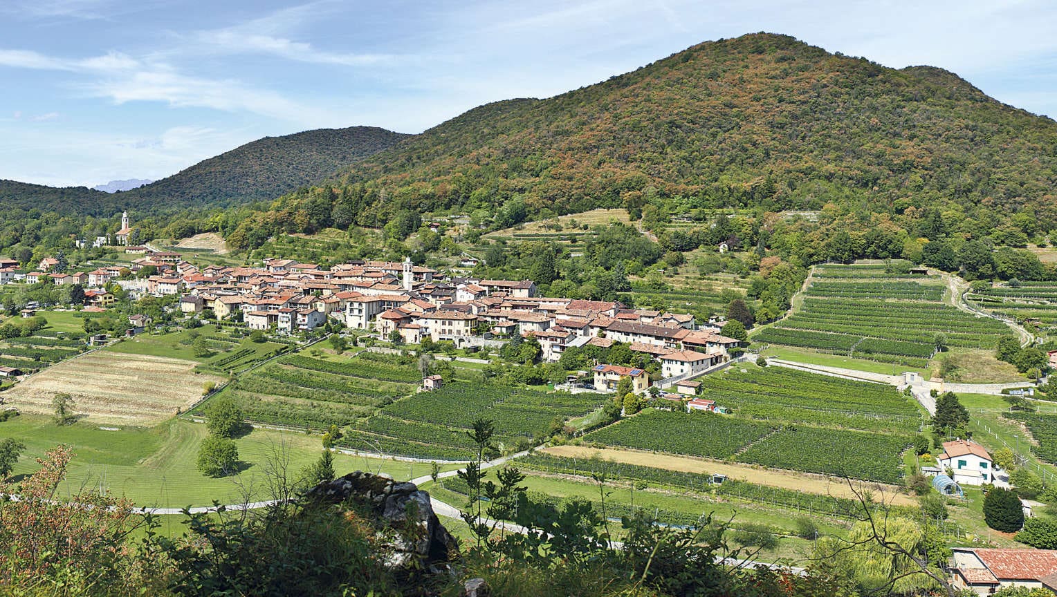 In bicicletta tra le vigne | Ticino Gastronomico